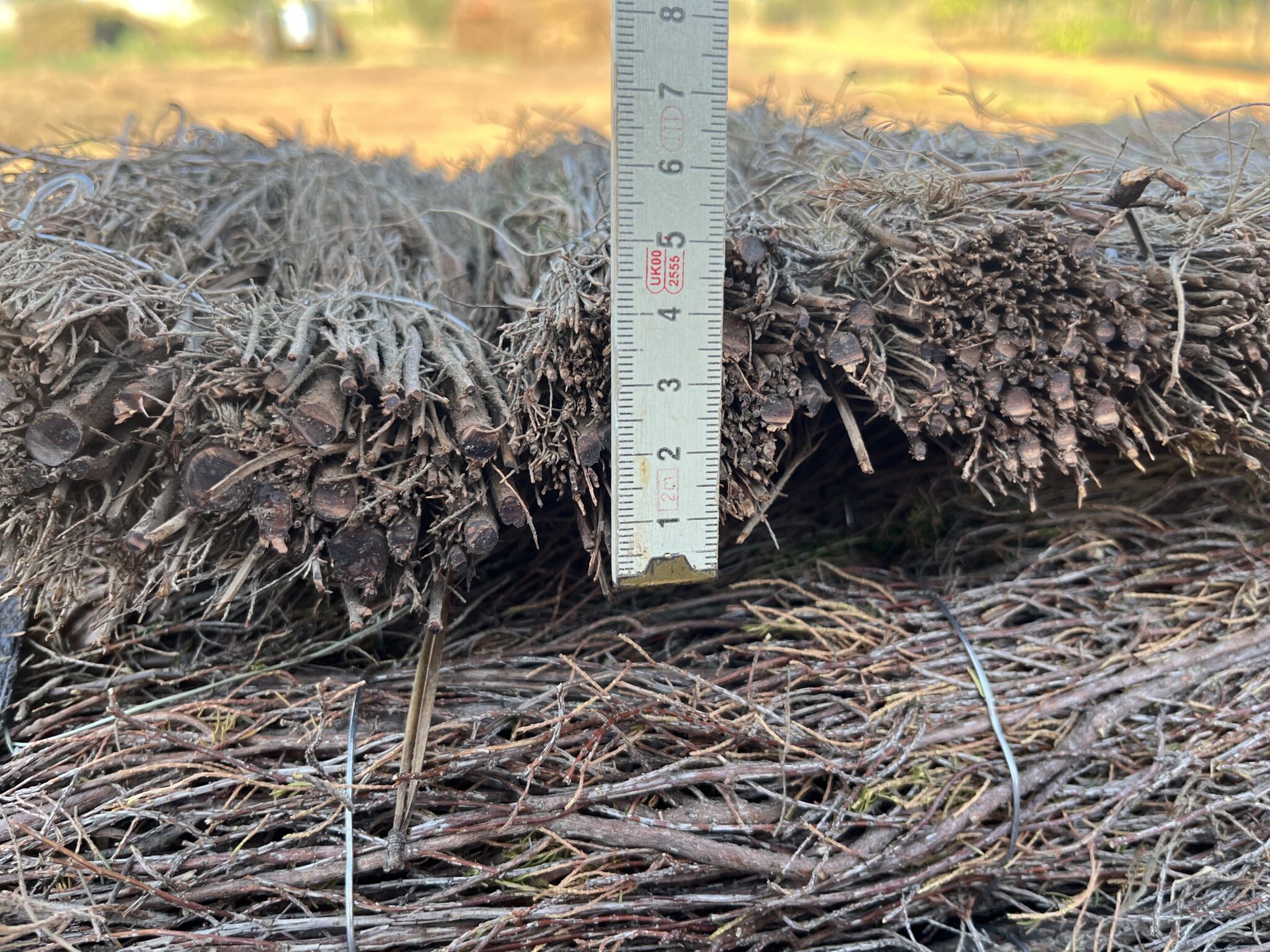 Rollo de Brezo Natural - Bruc Emporda